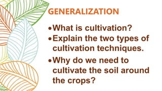 Cultivation Techniques.pptx