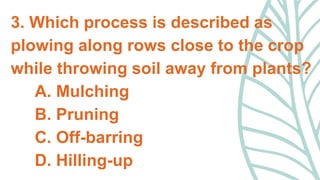 Cultivation Techniques.pptx