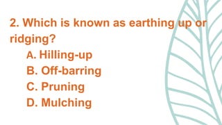 Cultivation Techniques.pptx