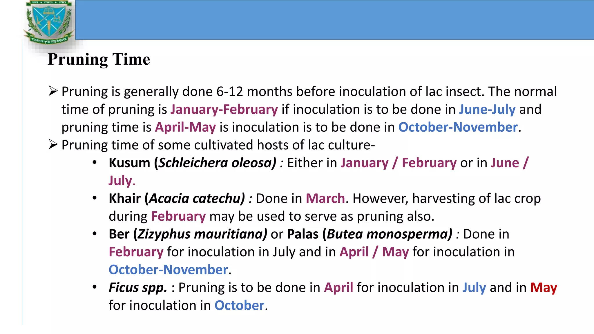 Cultivation techniques of lac insects | PPTX