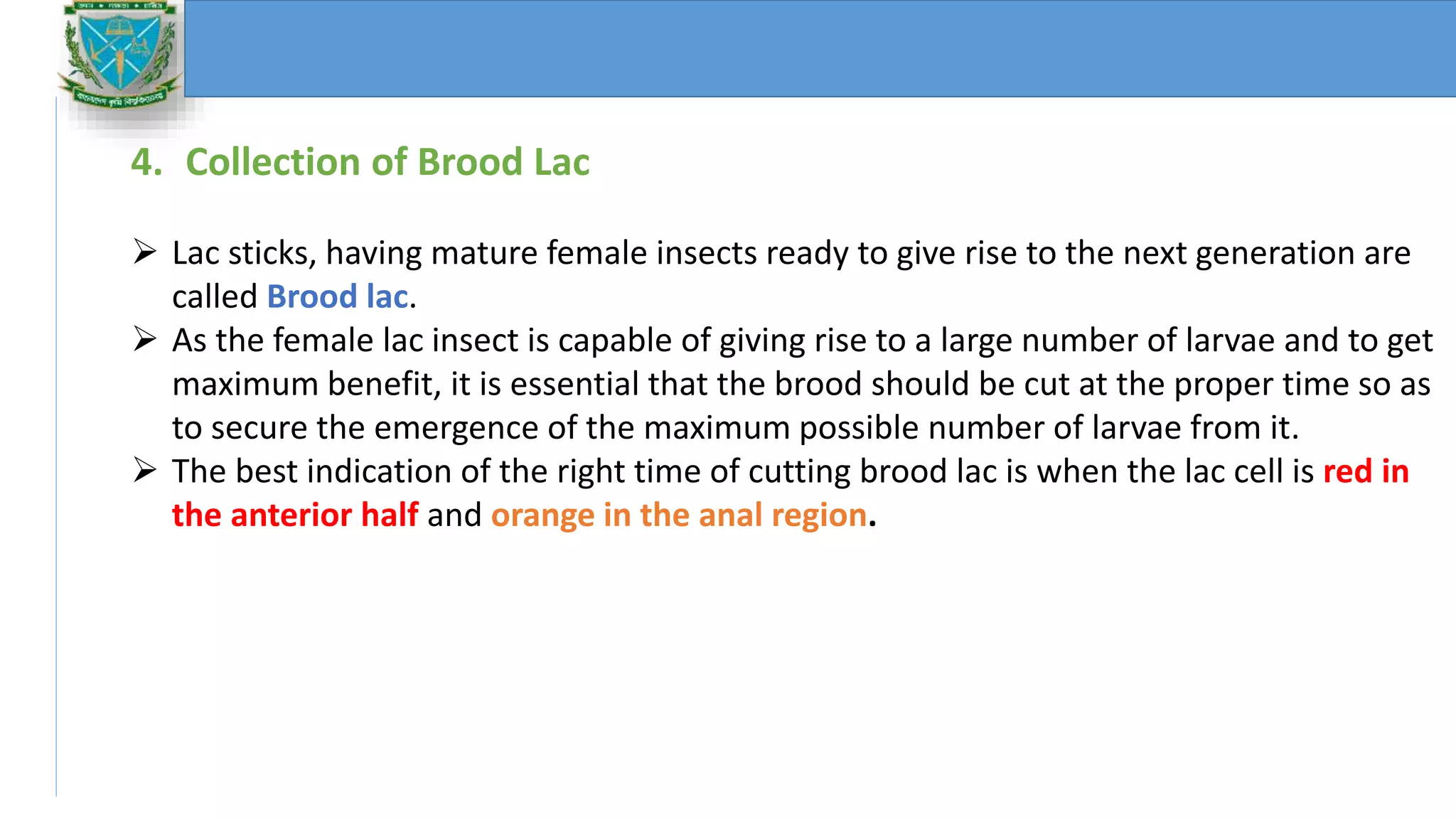 Cultivation techniques of lac insects | PPTX