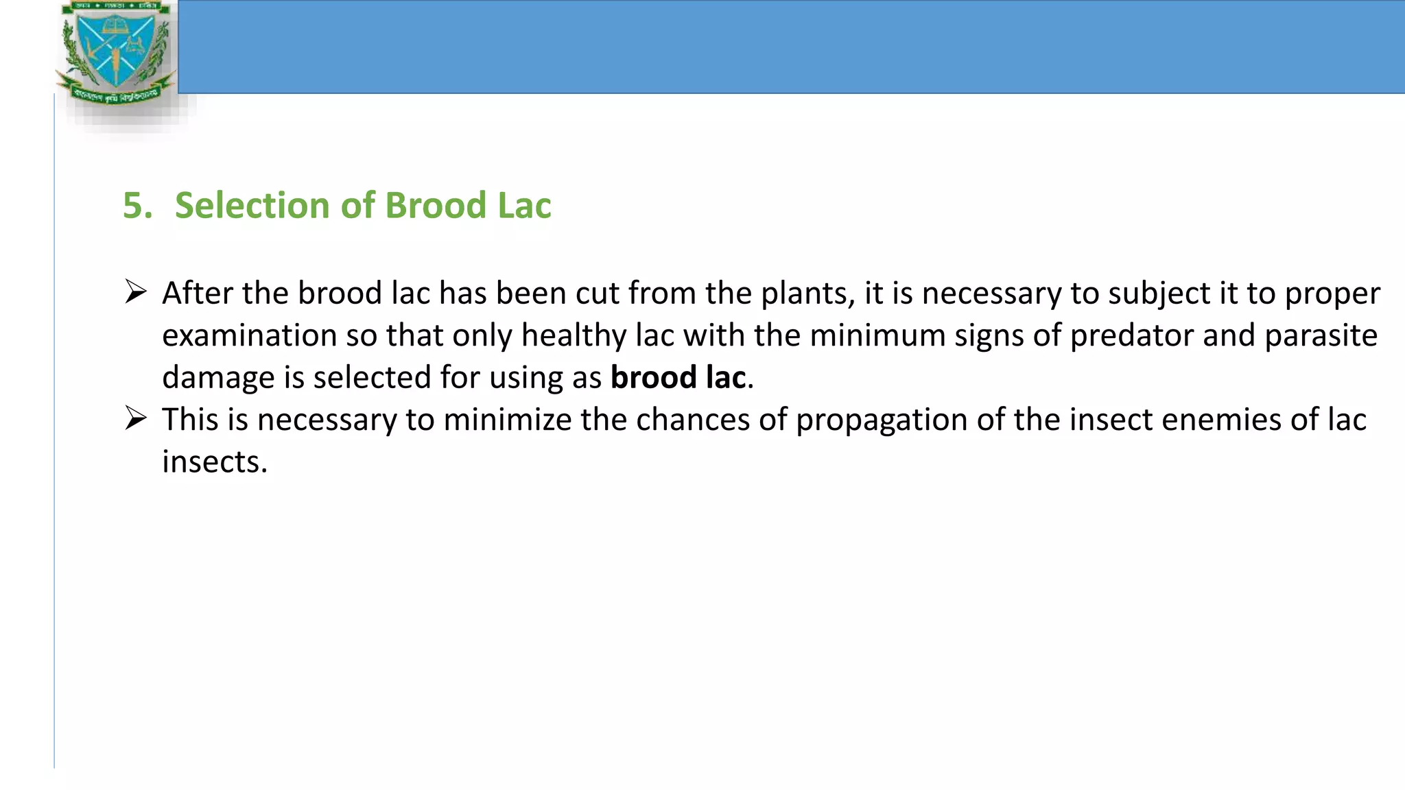 Cultivation techniques of lac insects | PPTX