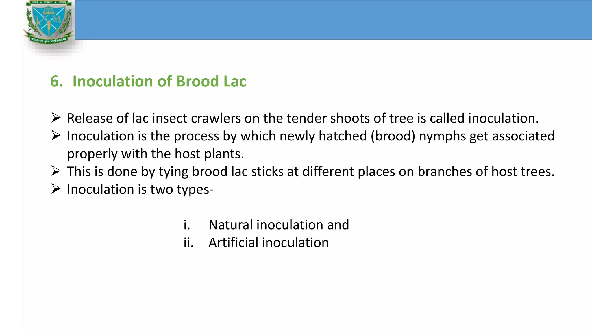 Cultivation techniques of lac insects | PPTX