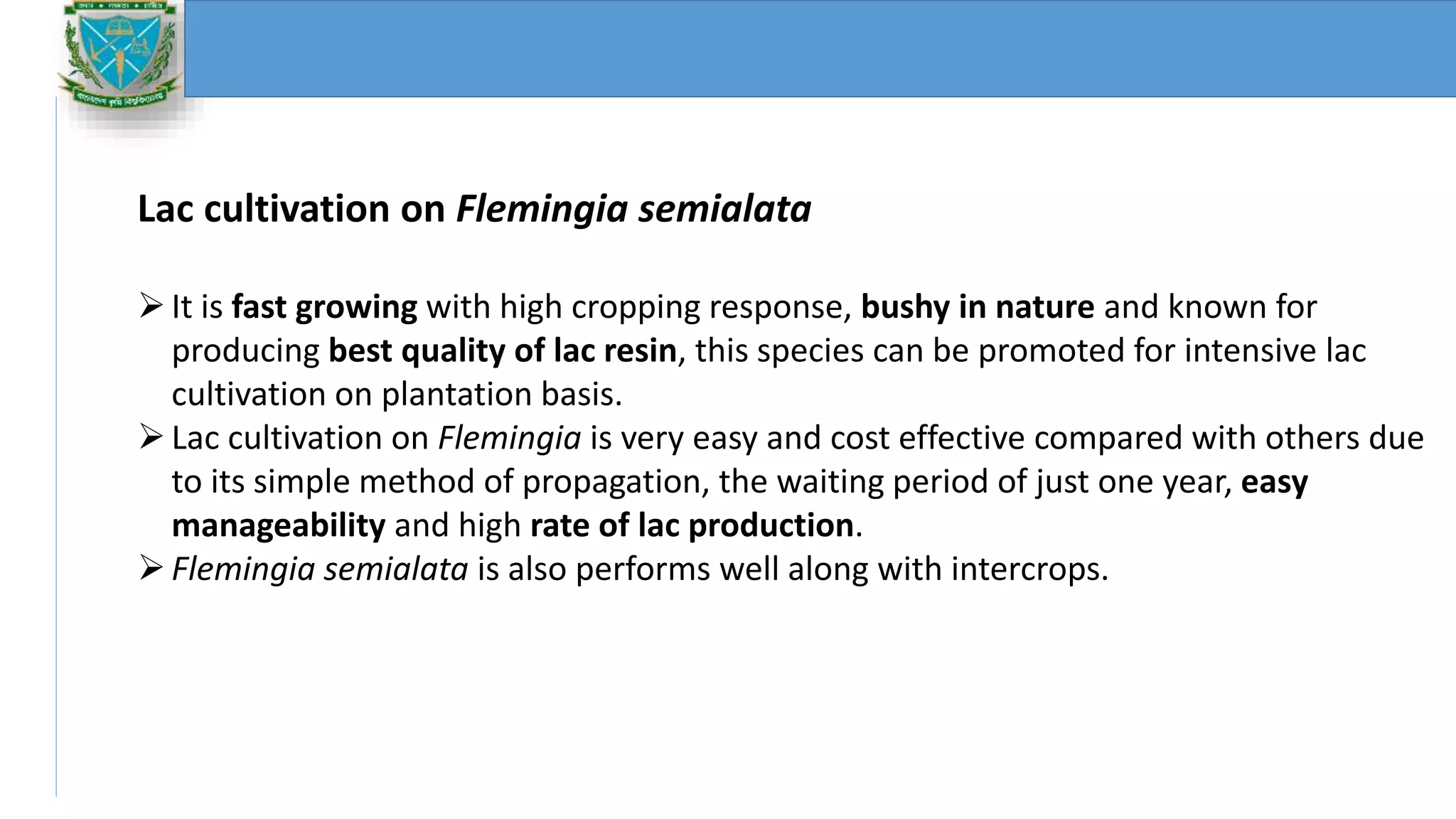 Cultivation techniques of lac insects | PPTX