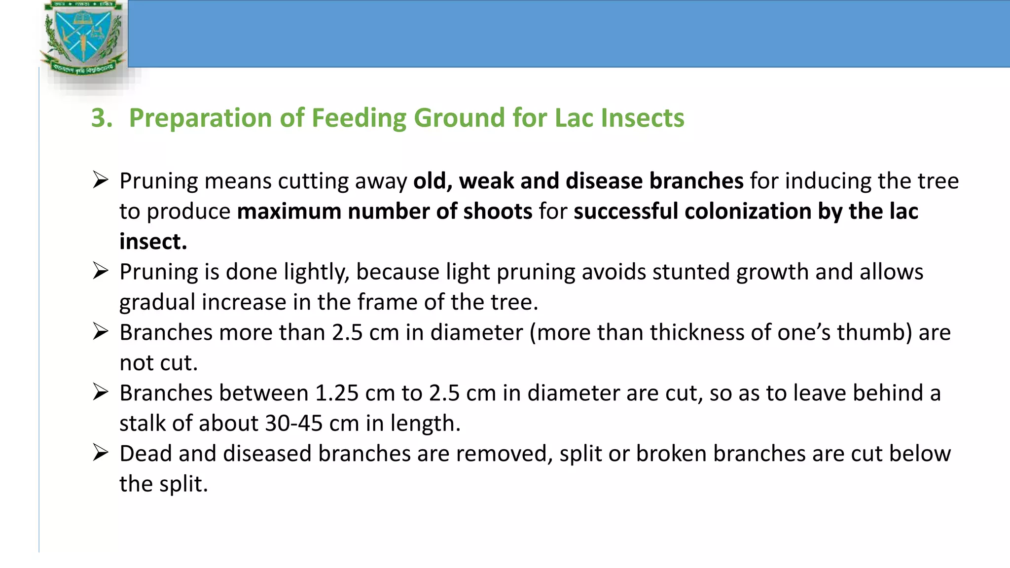 Cultivation techniques of lac insects | PPTX