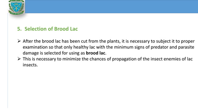 Cultivation techniques of lac insects | PPTX | Agriculture | Industries