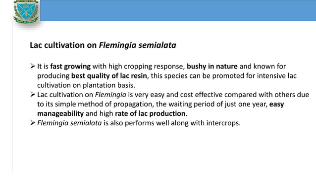 Cultivation techniques of lac insects | PPTX | Agriculture | Industries