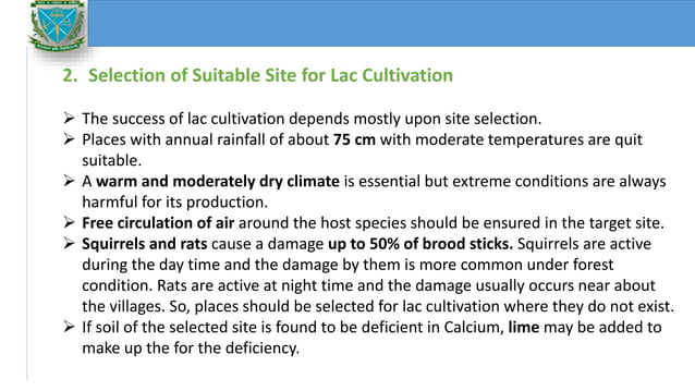 Cultivation techniques of lac insects | PPTX | Agriculture | Industries
