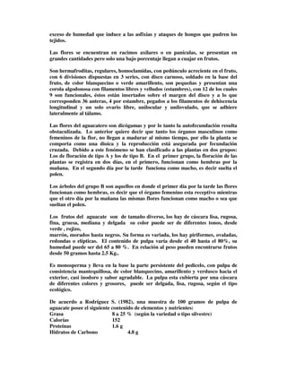 Cultivo aguacate | PDF