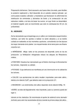 Cultivo de esparrago en limonar | DOCX