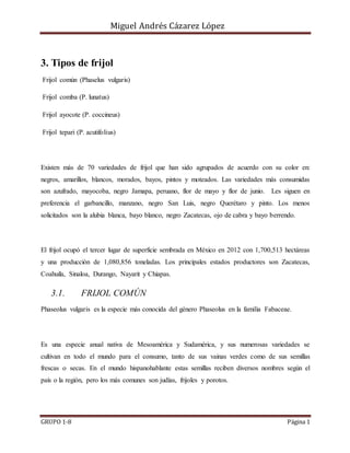 Cultivo de frijol en mexico | DOCX