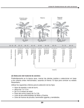 Cultivo de frutales | PDF