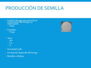 Cultivo De Hongos Comestibles Ppt
