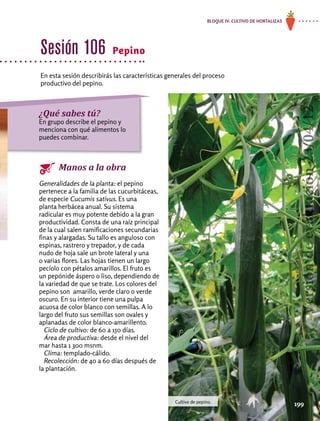 Cultivo de hortalizas | PDF