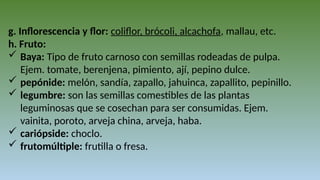 Cultivo de Hortalizas. en el Instituto Kimbiripptx | PPTX