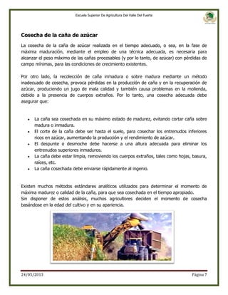 Cultivo De La Caña De Azúcar Pdf 0854