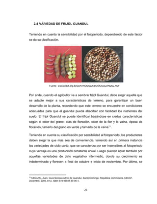 Cultivo del guandul | PDF