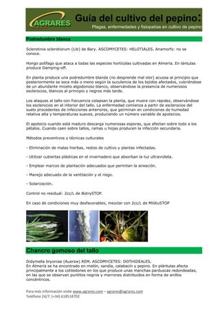Cultivo de pepino | PDF