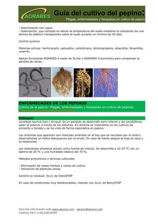 Cultivo de pepino | PDF