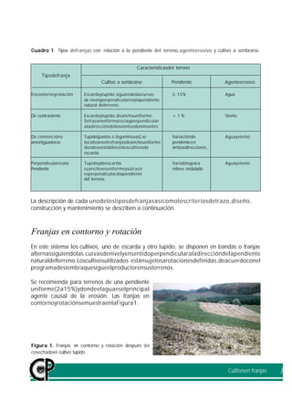 Cultivo en franjas | PDF