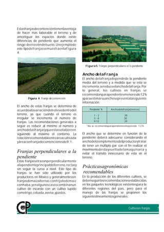 Cultivo en franjas | PDF