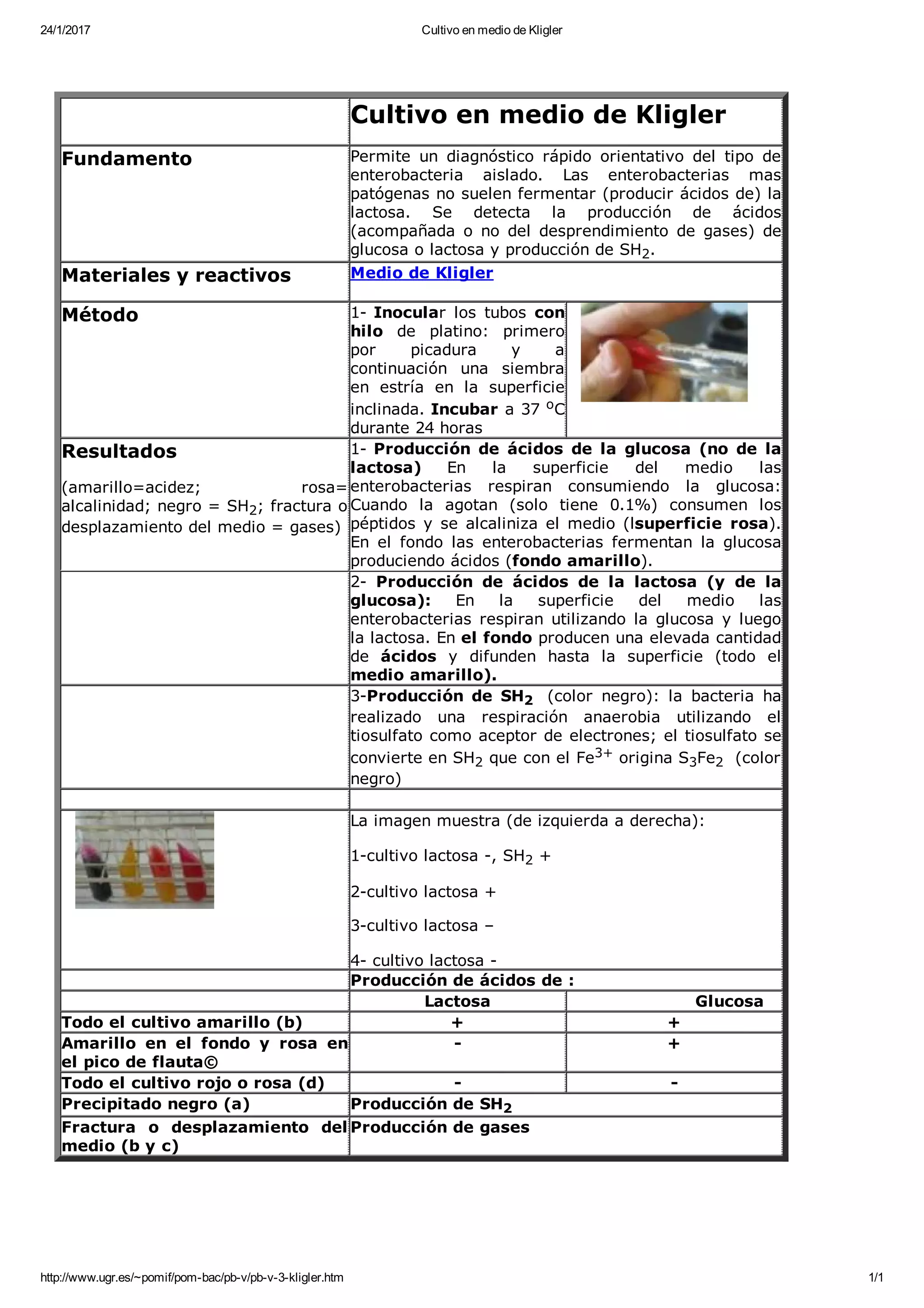 Cultivo en medio de kligler | PDF