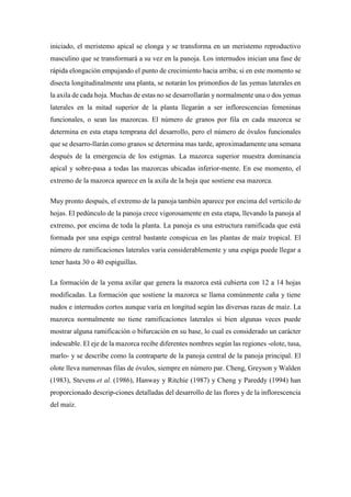 CULTIVO MAIZ - EVIDENCIA Nro 2 (1).pdf