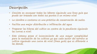 Cultivos de Contorno.pdf | Agriculture | Industries
