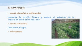 Agricultura De Contorno Y Terrazas