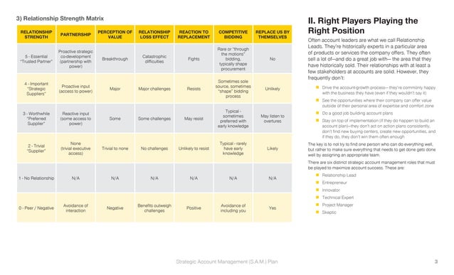 Strategic Account Management (S.A.M.) Plans | PDF | Business ...