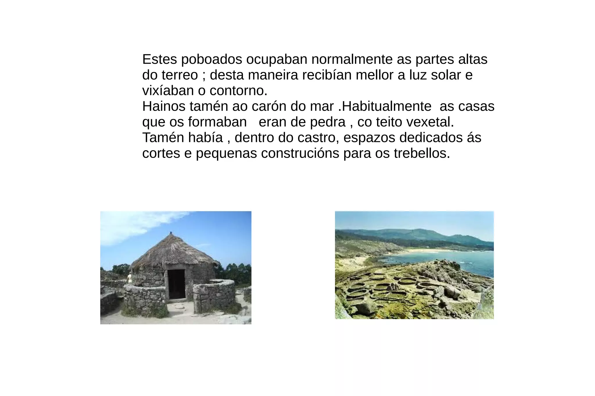 Cultura castrexa | ODP