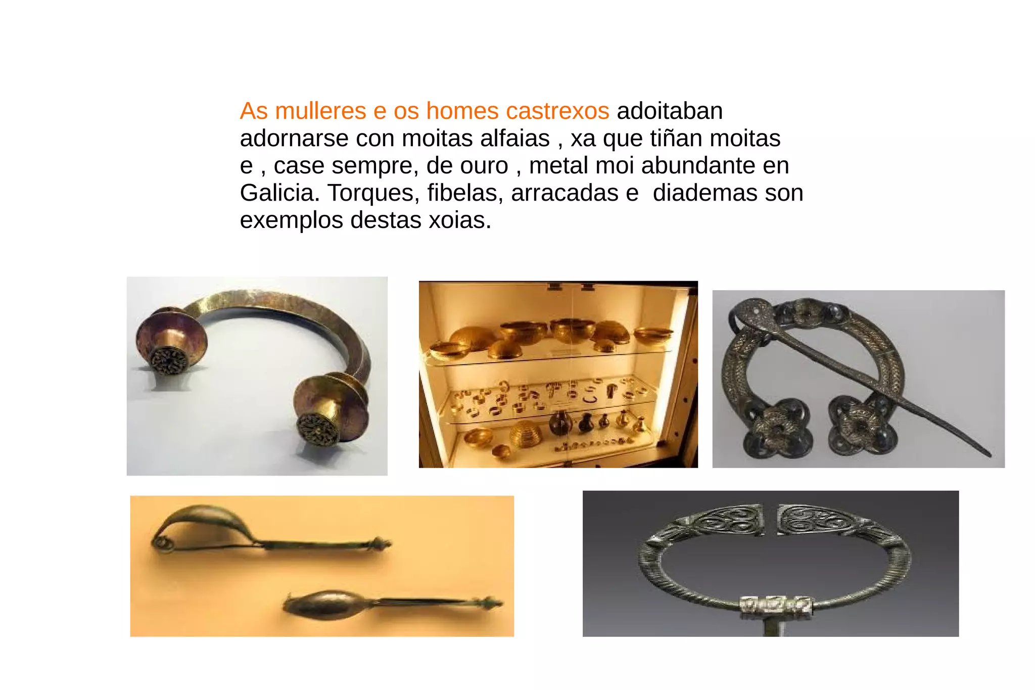 Cultura castrexa | ODP