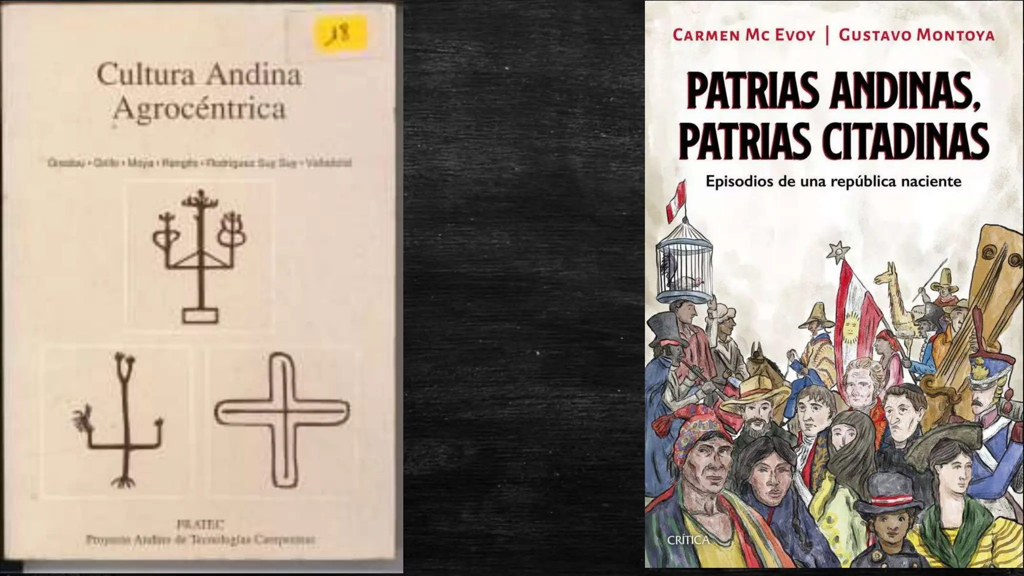 CULTURA ANDINA concepto o conceptos varios gvalderrama.pptx