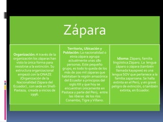 Cultura andoas y zápara | PPTX