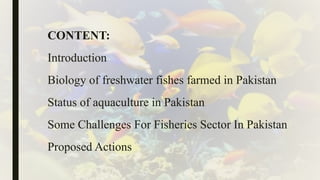 CULTURABLE FISH SPECIES IN PAKISTAN.pptx
