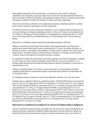 Cultura castravete | RTF