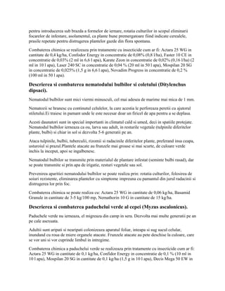 Cultura cepei | RTF