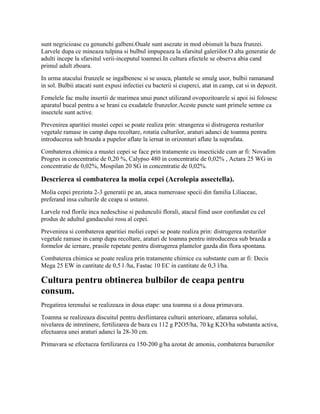 Cultura cepei | RTF