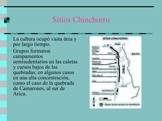 Cultura chinchorro | PPT