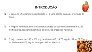 Cultura do Caju - uma breve abordagem exploratória | PDF