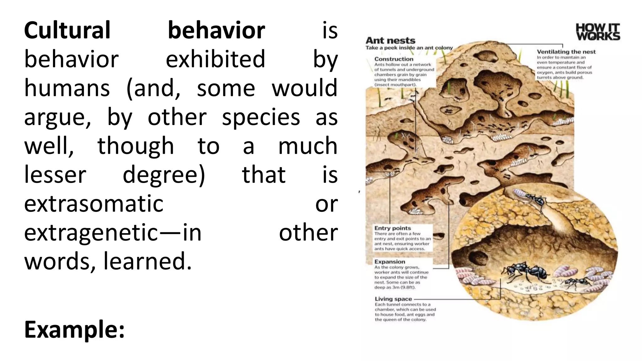 CULTURAL-AND-MORAL-BEHAVIOR-pptx.pptx