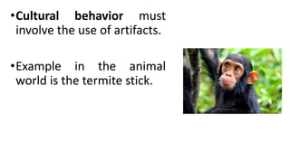 CULTURAL-AND-MORAL-BEHAVIOR-pptx.pptx