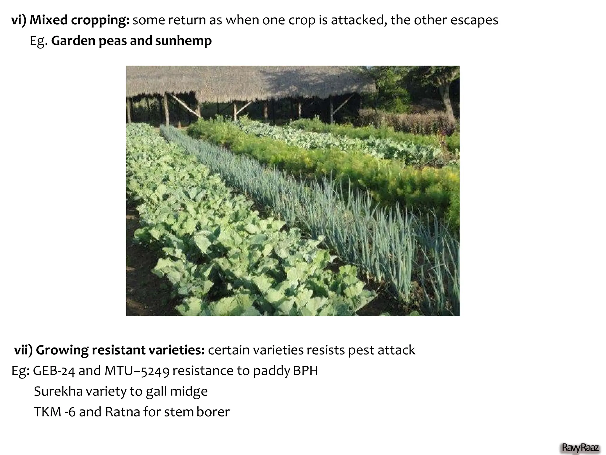 Cultural Pest control methods - Agricuture | PDF