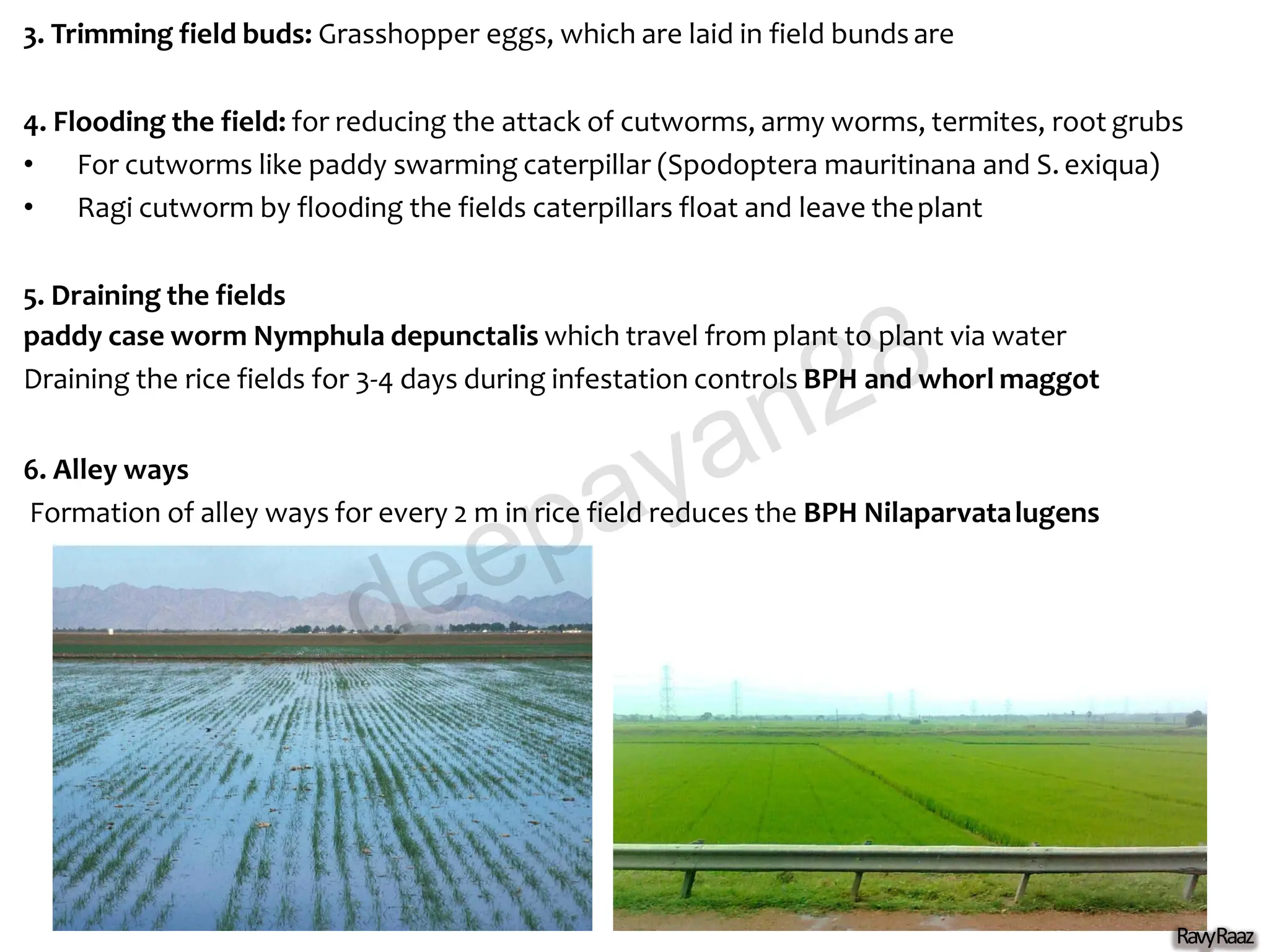 Cultural Pest control methods - Agricuture | PDF