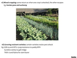 Cultural Pest control methods - Agricuture | PDF