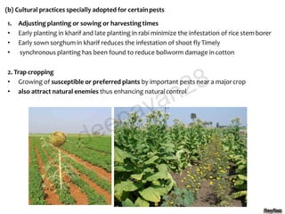 Cultural Pest control methods - Agricuture | PDF