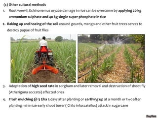Cultural Pest control methods - Agricuture | PDF