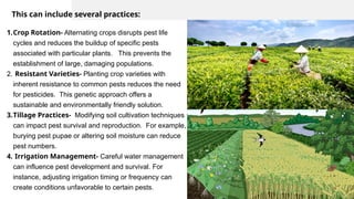 Cultural-Control-Rhechel-Ann-Taborite_113930 (1).pptx