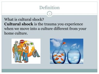 Culture Shock Examples