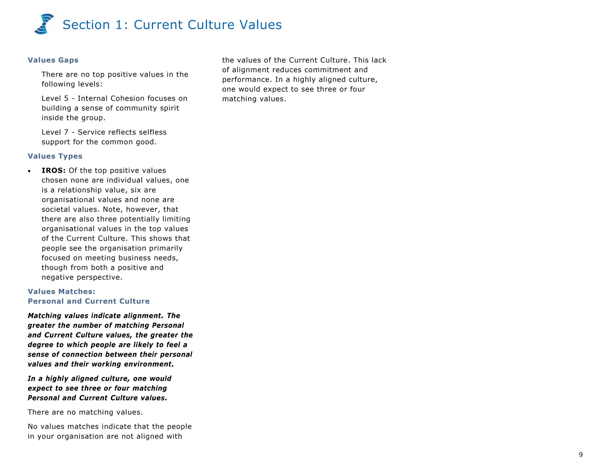Cultural-Values-Assessment-Example Barret Model | PDF